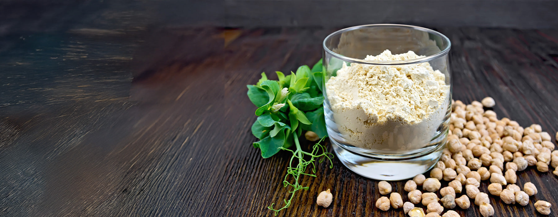 Vegan Protein Powder NZ | Free Shipping* – Nutratech
